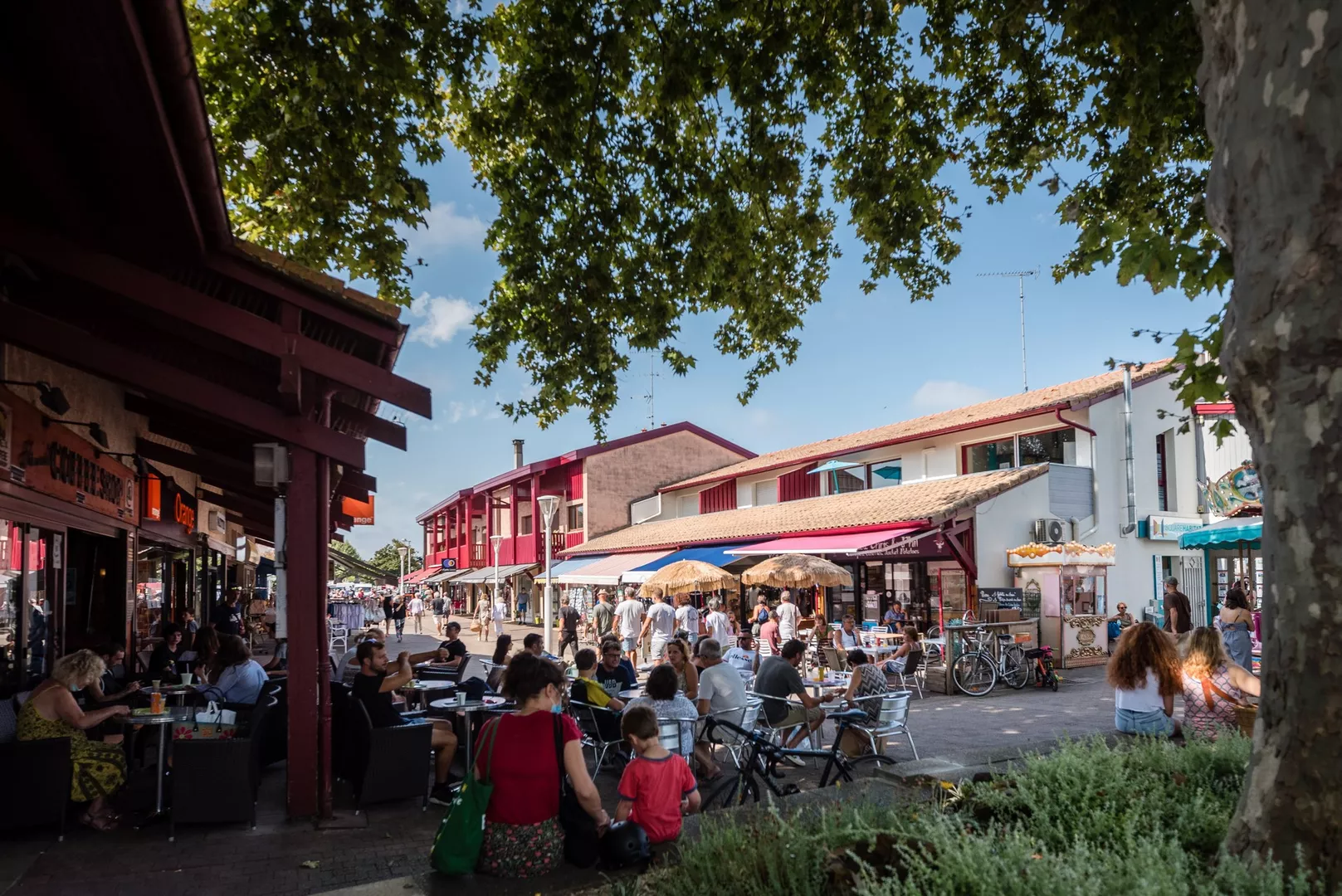 Tout savoir sur Biscarrosse Ville | Bisca Grands Lacs